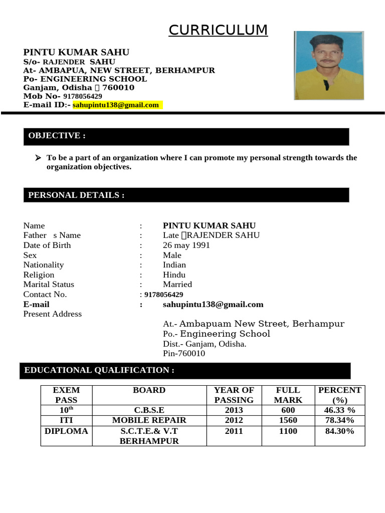 Pk SAHU Resume | PDF