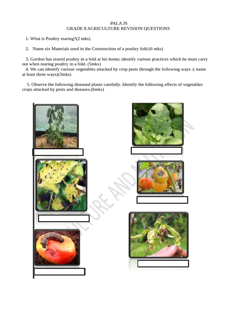 Grade 8 Agric | PDF