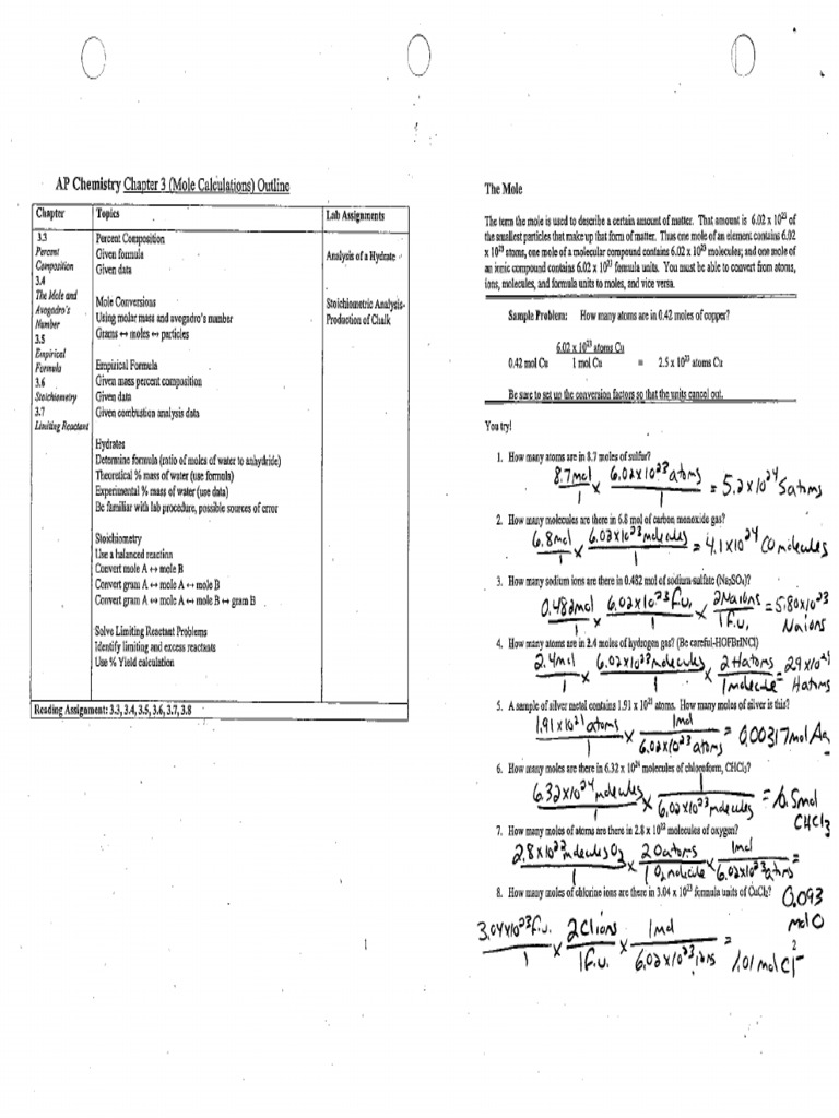 The Mole Packet Answer Key | PDF