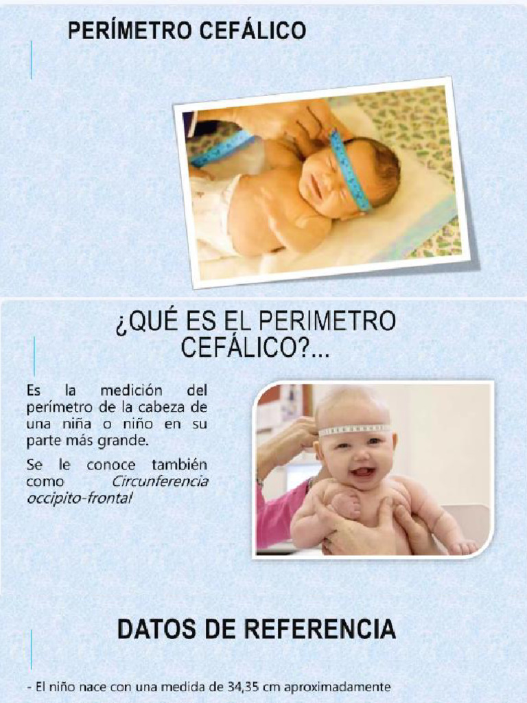 Perimetro Cefalico Recien Nacido - Carmen | PDF