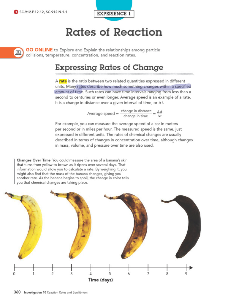 Annotated Experience Notebook - Rates of Reaction | PDF | Reaction Rate ...