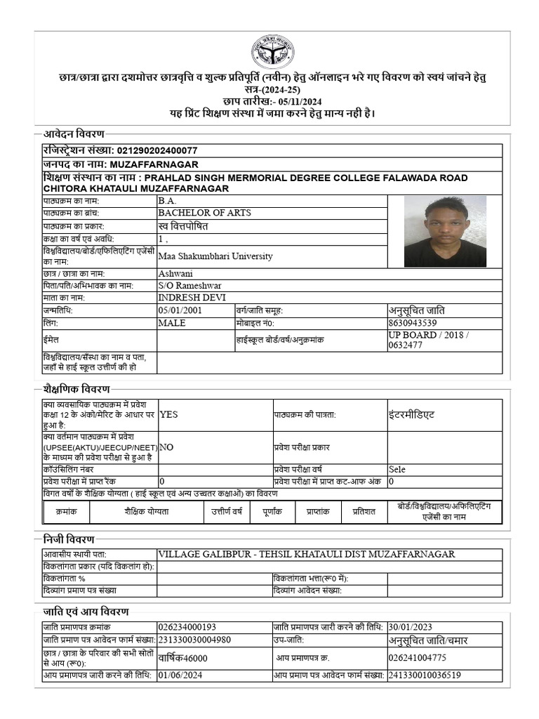 Summary Report Ashwani | PDF