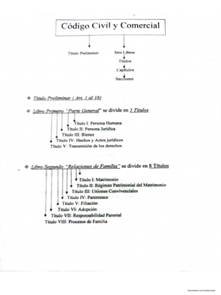 Conformación Del CCCN | PDF