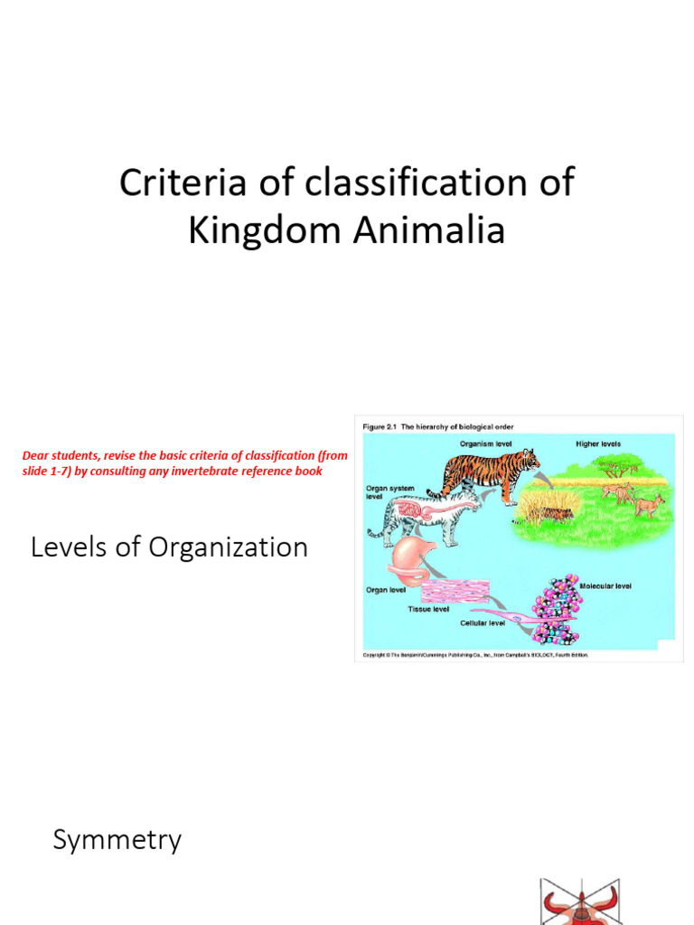 Classification Criteria of Kingdom Animalia | PDF