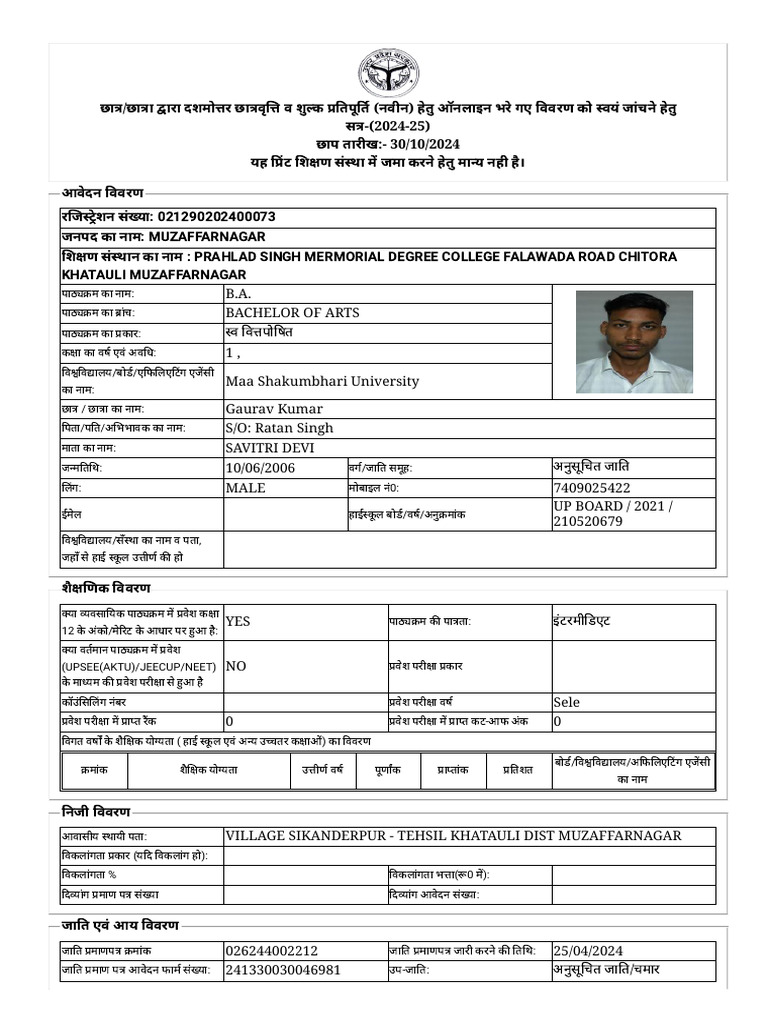 Summary Report Gaurav | PDF