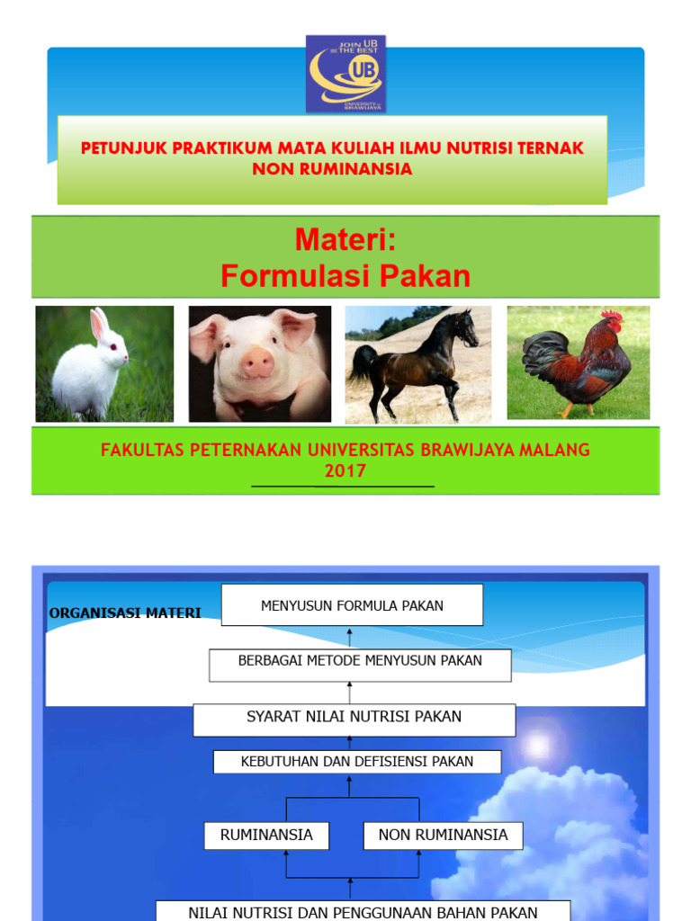 RANSUM-Formulasi Pakan - Menyusun - Ransum Pakan | PDF