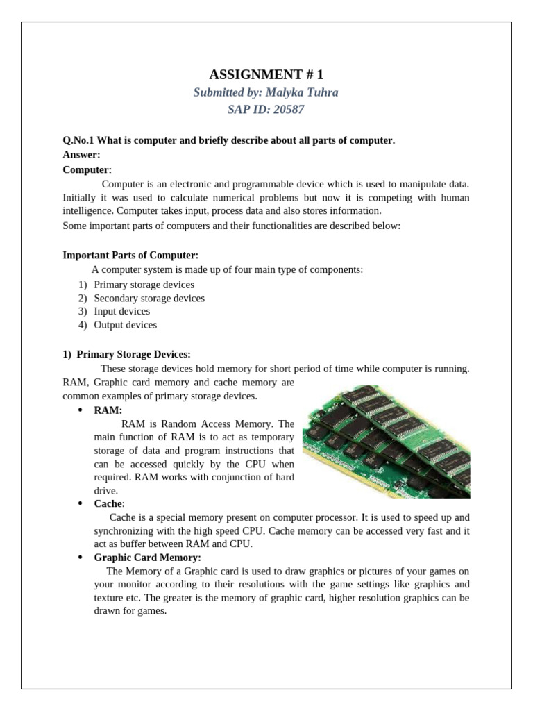 Malyka Tuhra | PDF | Computer Data Storage | Computer Hardware