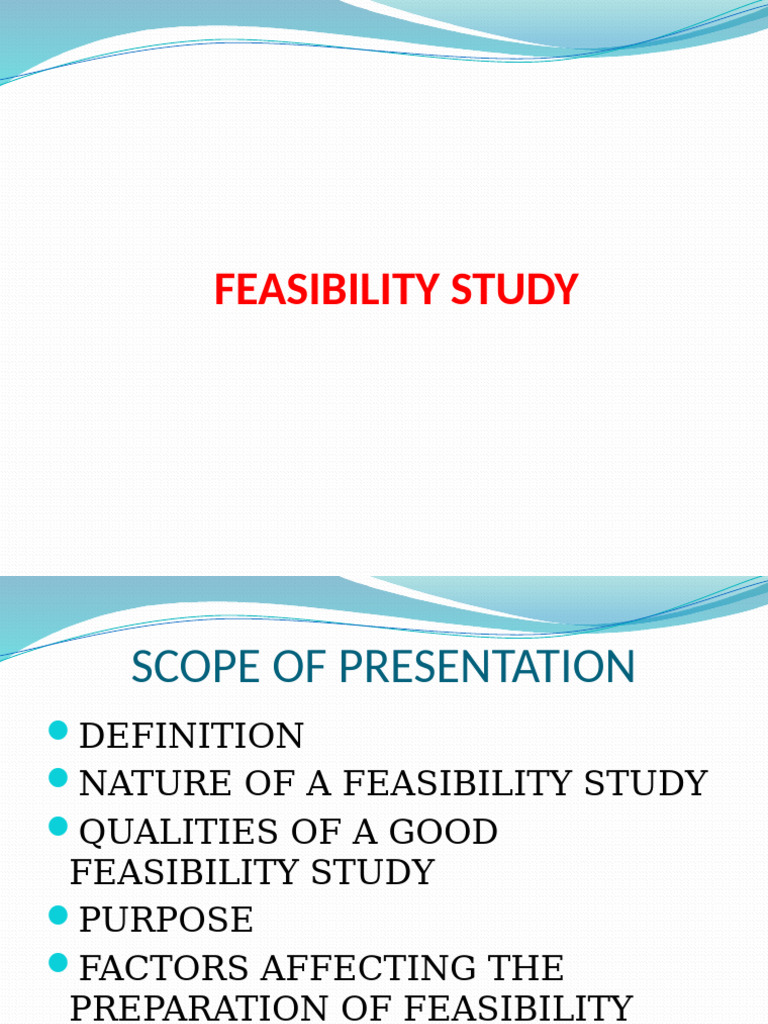 FEASIBILITY STUDY Jasmin U. Borja | PDF | Feasibility Study | Risk