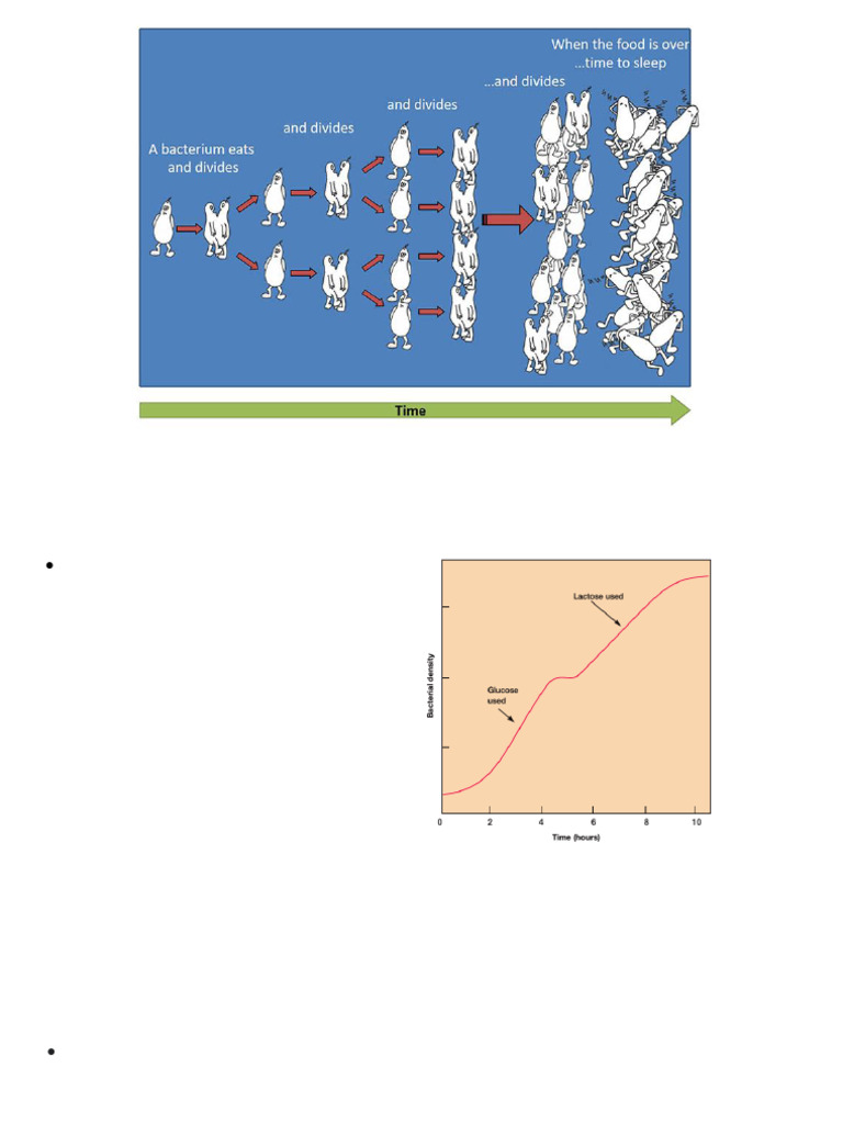 Microbiology 12 - Microbial Growth 2_Growth measurements, factors affecting | PDF