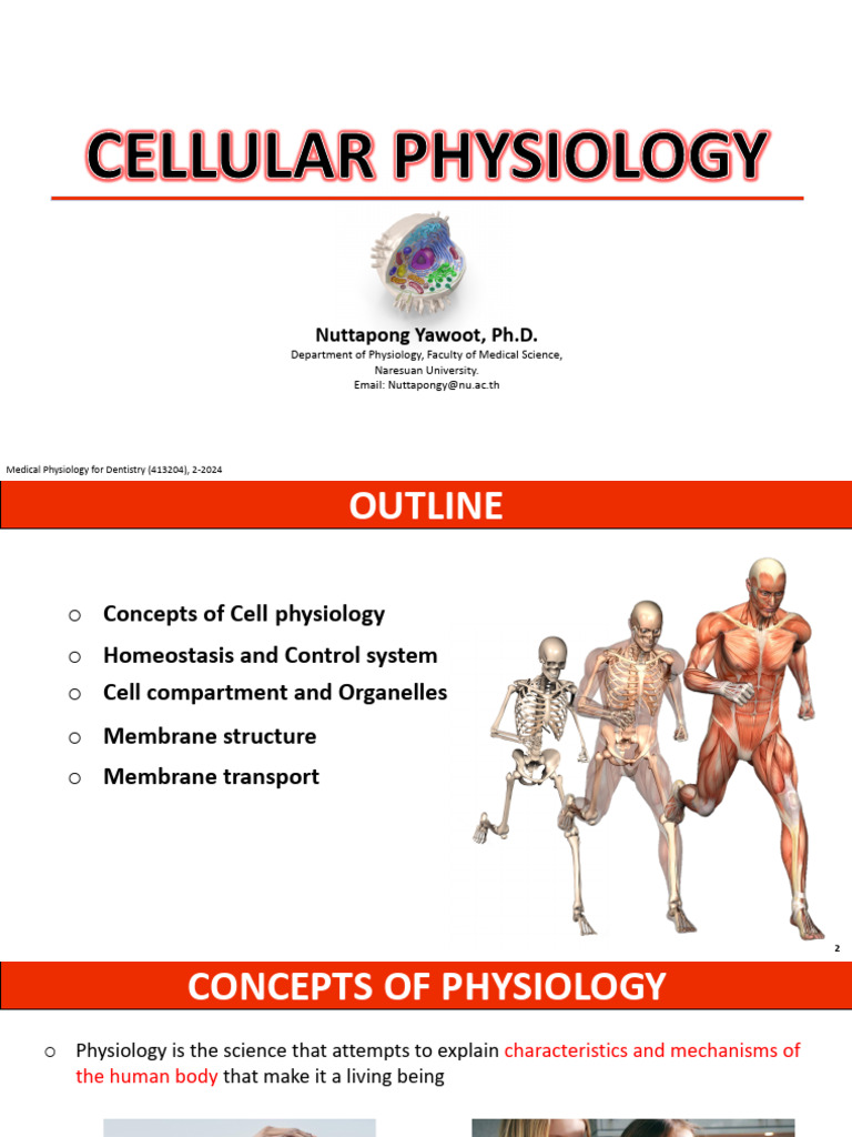 Cell Phys_Dent 2-2024 | PDF | Cell Membrane | Homeostasis