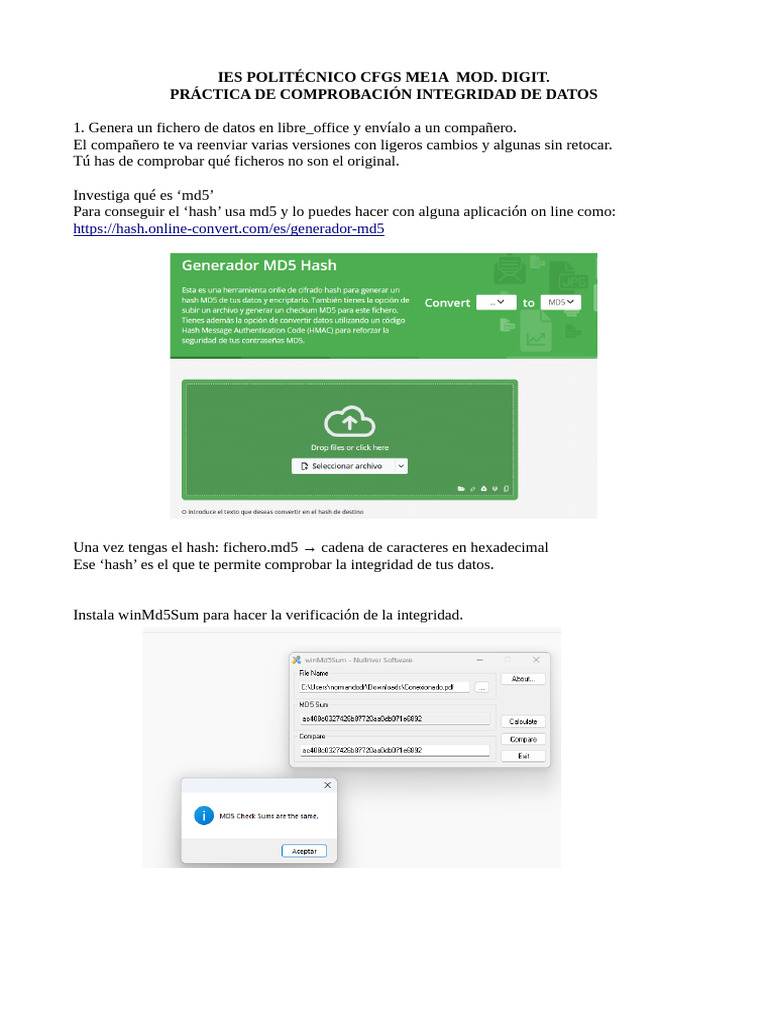 Verificación de Integridad con MD5 | PDF