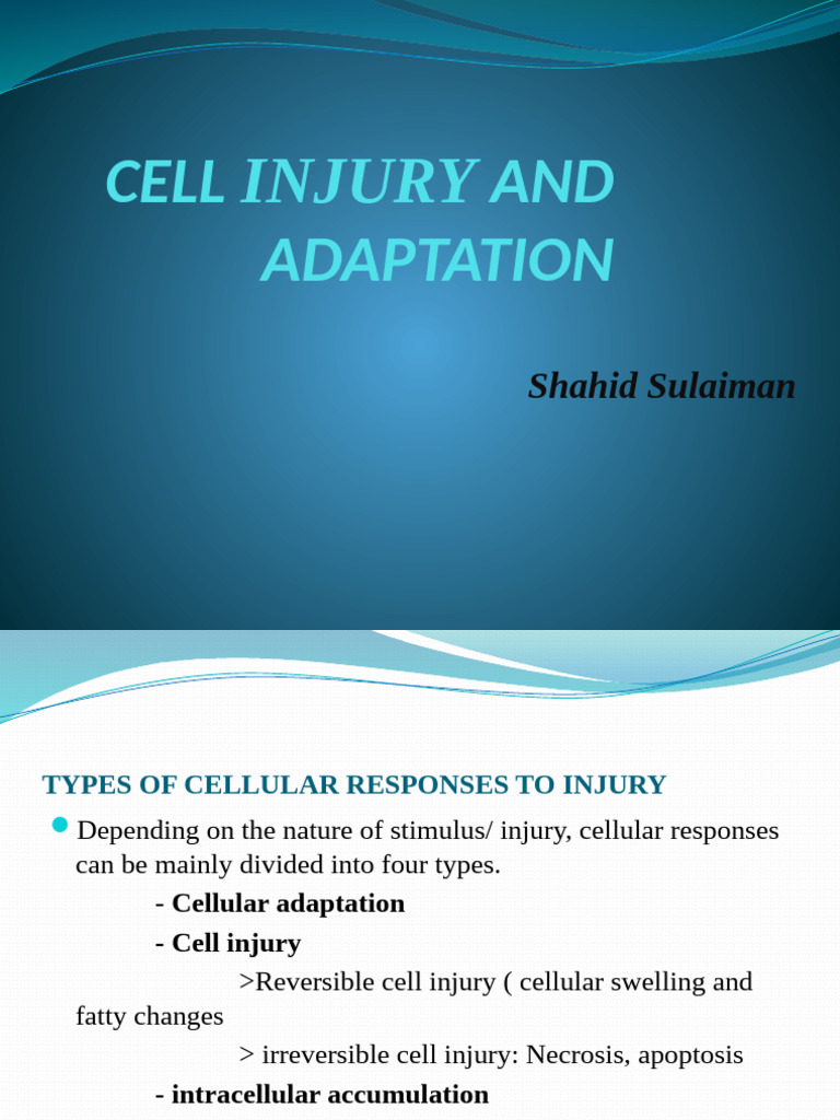 Cell Injury and Adaptation | PDF | Necrosis | Epithelium