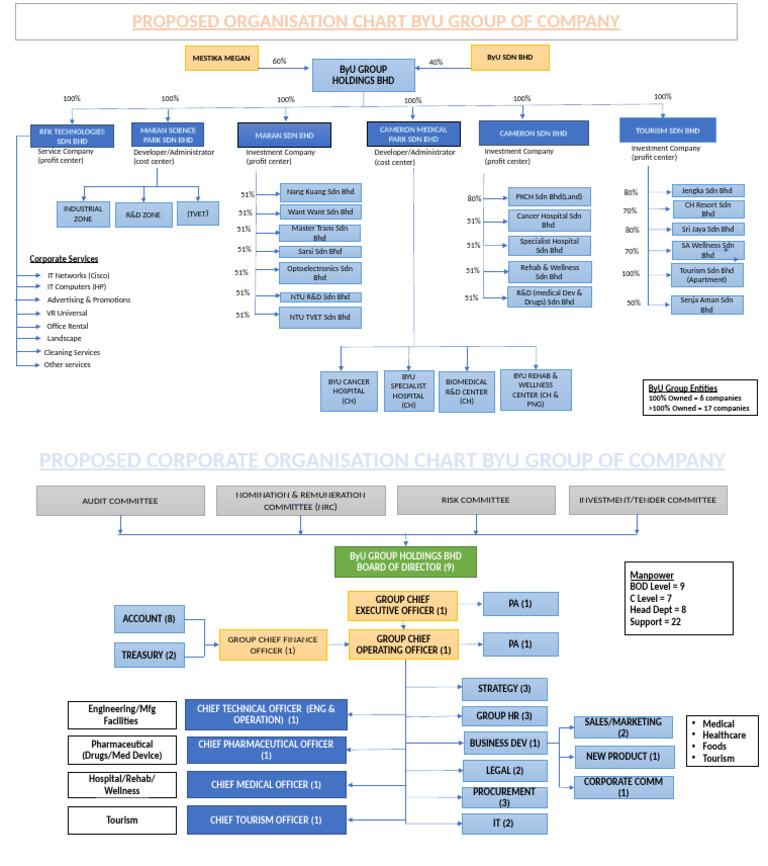 Corporate Organisation Chart Byu Group of Company (1) 2 | PDF ...