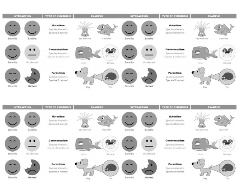 species interaction insert | PDF