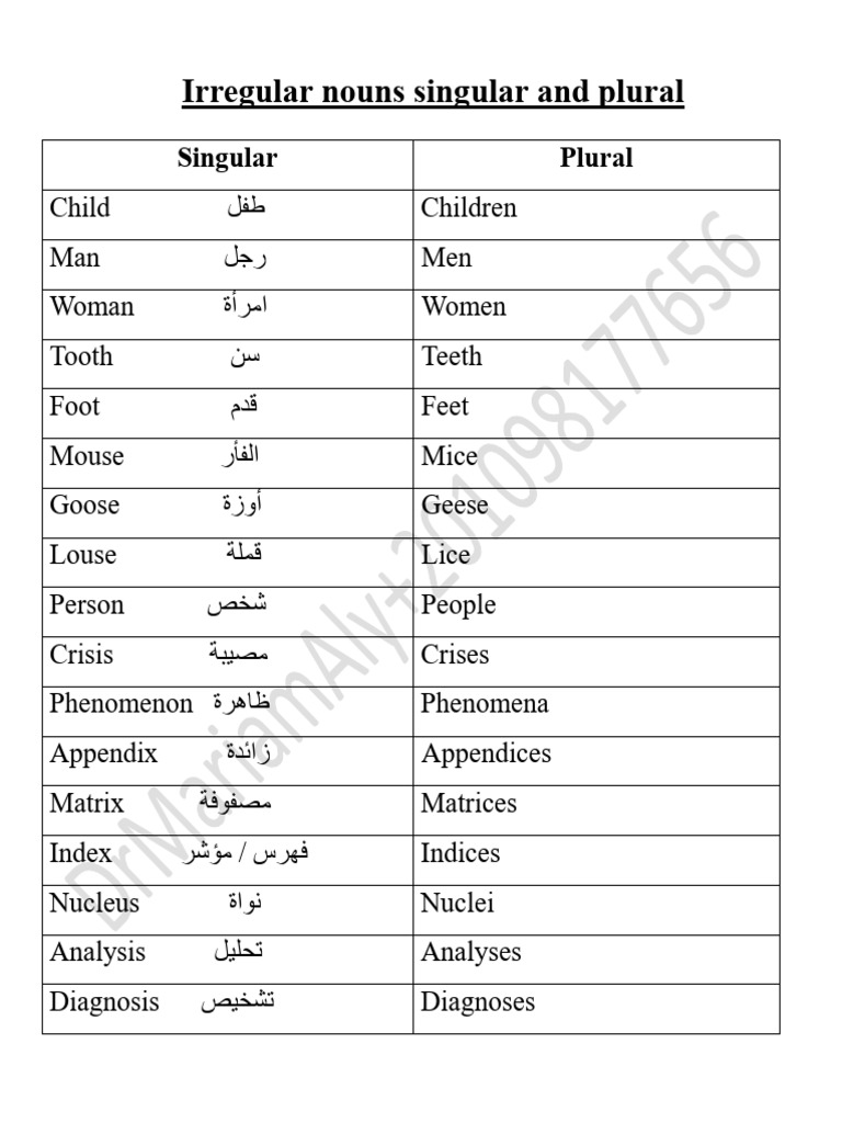 Irregular Nouns Singular and Plural | PDF