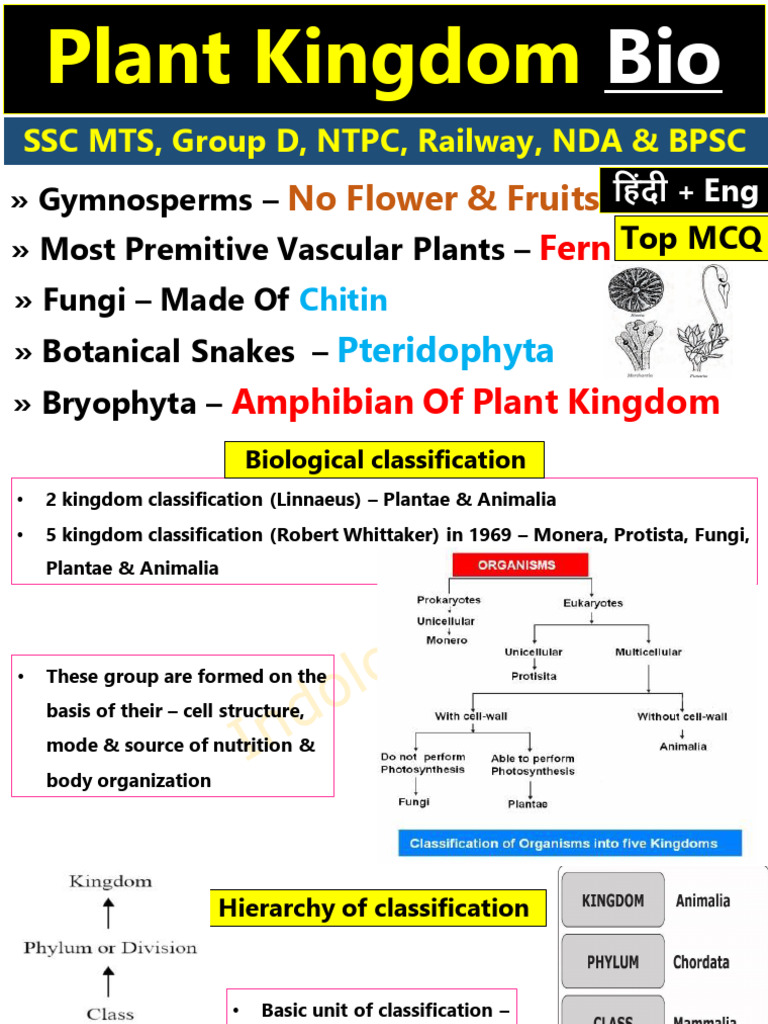 Plant Kingdom Classification MCQs Guide | PDF | Seed | Plants