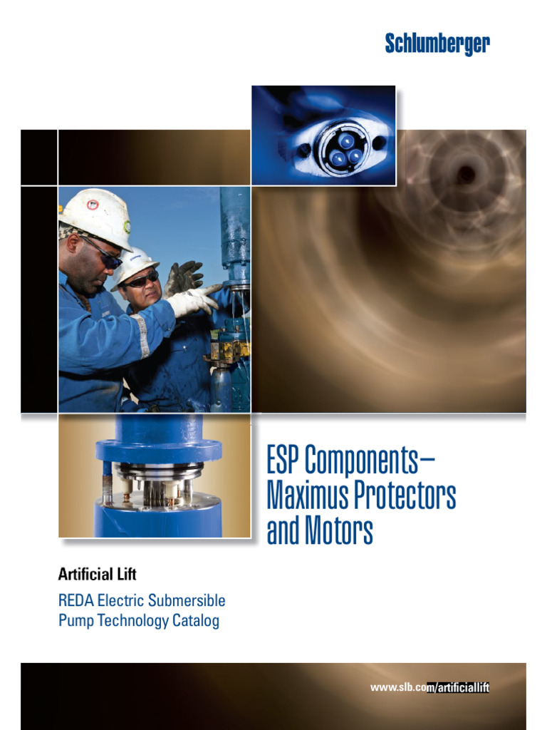 ESP Components Maximus Motor & protector Booklet | PDF