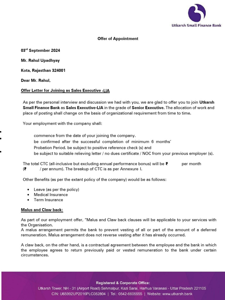 Mr. Rahul Upadhyay-Offer Letter | PDF | Employment | Business