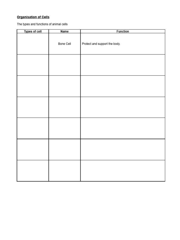 Human Cell and Plant Cell | PDF