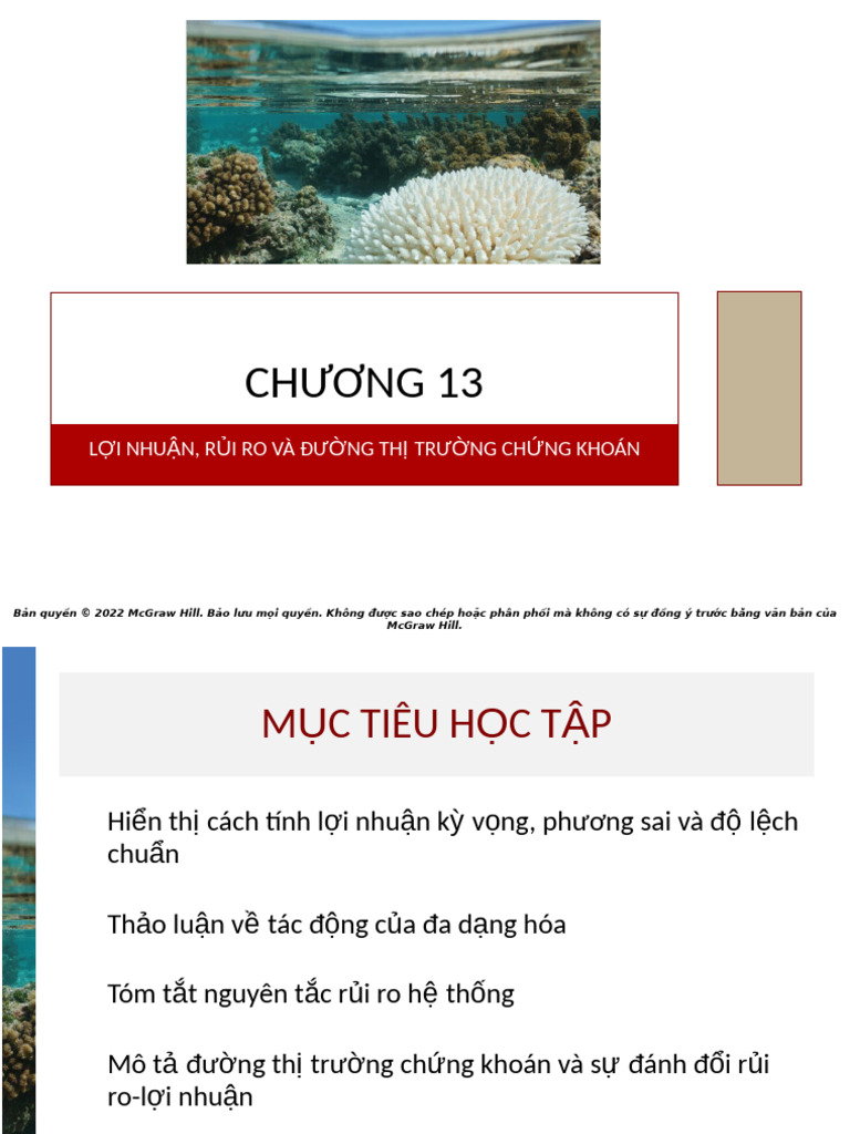 Ross Fundamentals of Corporate Finance 13e CH13 PPT (1) | PDF