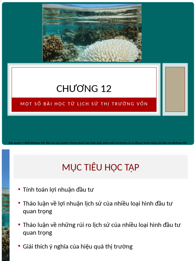 Ross Fundamentals of Corporate Finance 13e CH12 PPT (1) | PDF