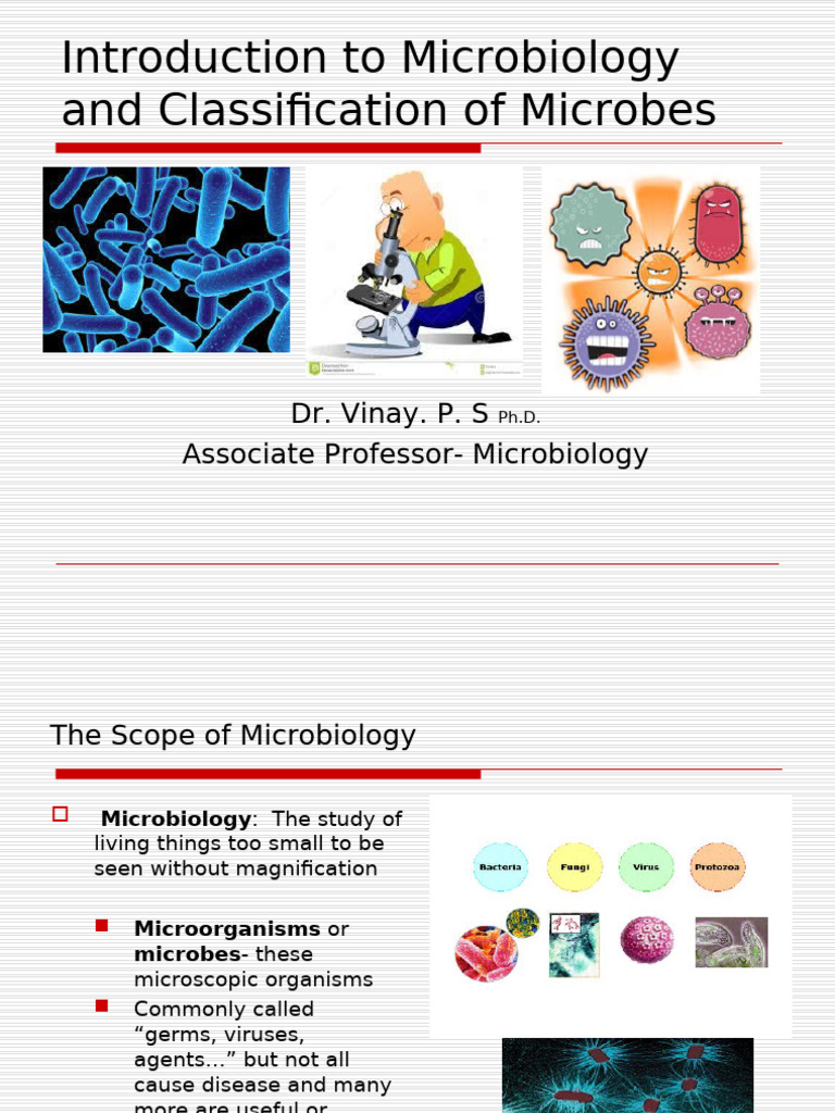 Classification and History of Microorganisms | PDF | Bacteria ...