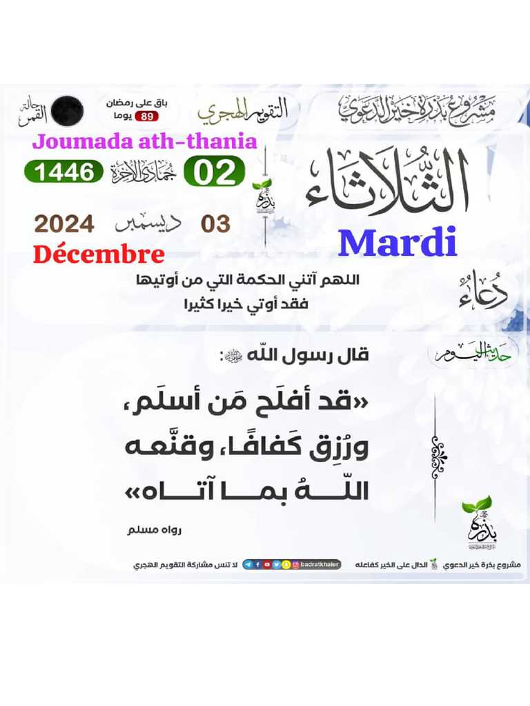 ACE Scanner_2024_12_03 | PDF