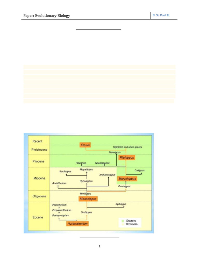 Phylogeny of Horse | PDF | Equus (Genus) | Horses