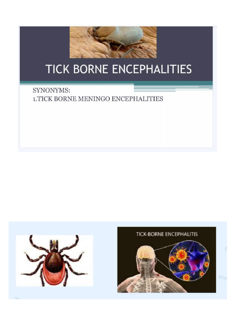 Tick Borne Encephalitis | PDF