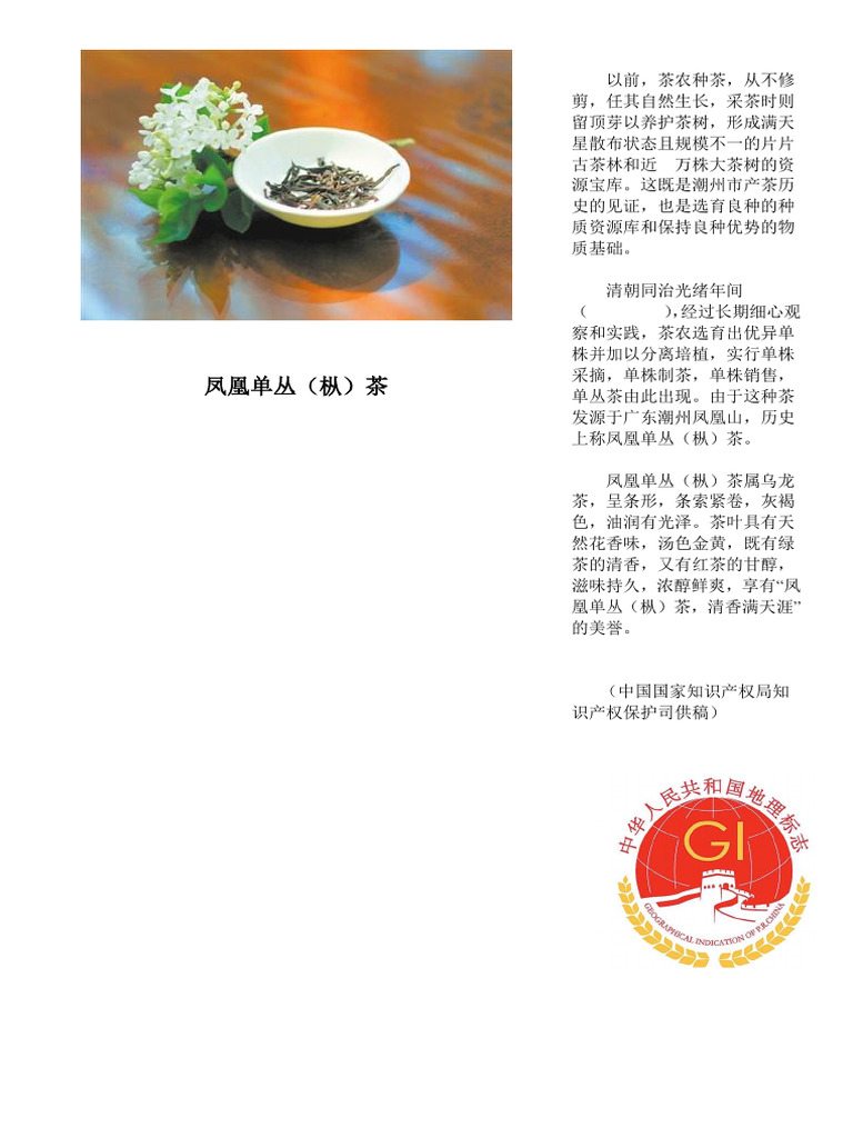 Fenghuang Dancong Tea: History & Aroma | PDF | Tea | Botany