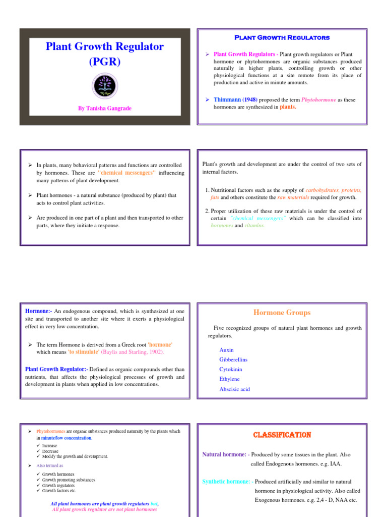 pgr - converted | PDF | Auxin | Plant Hormone