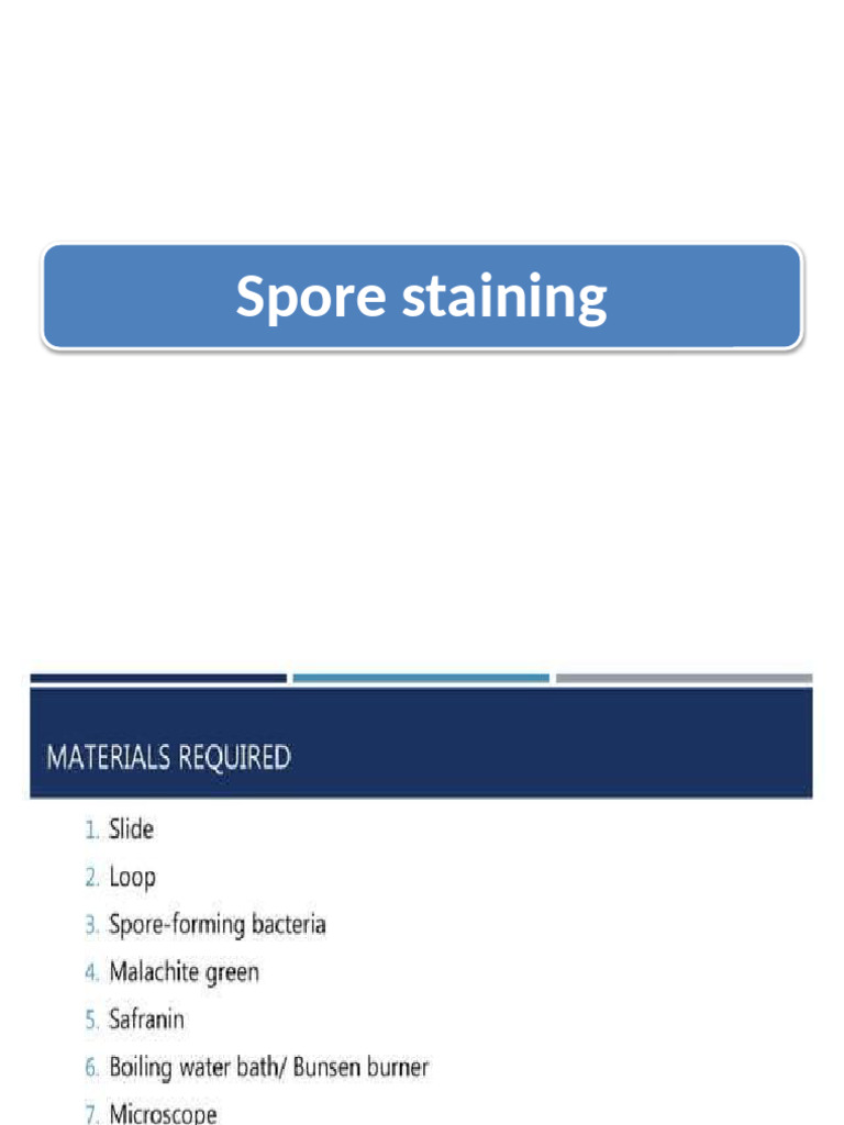 Spore Staining | PDF