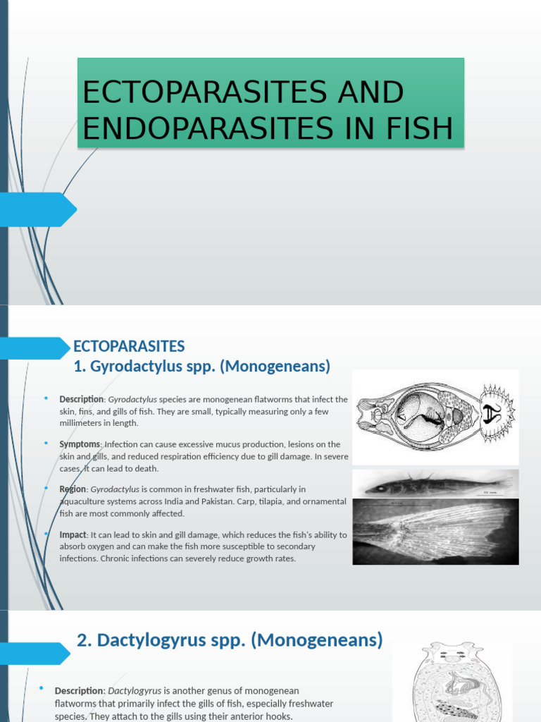 Ectoparasites and Endoparasites in Fish | PDF | Fish | Parasitism
