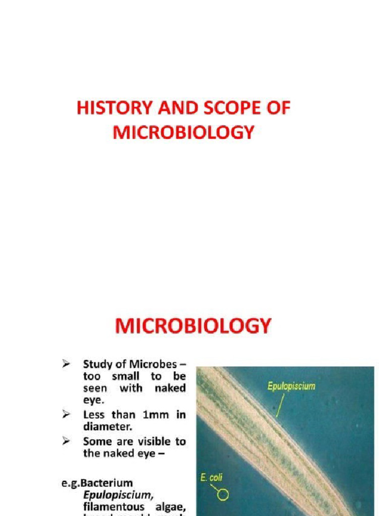 History of Microbiology | PDF