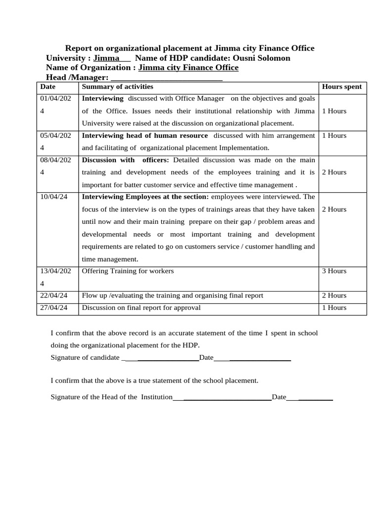 HDP Placement Report: Jimma Finance Office | PDF