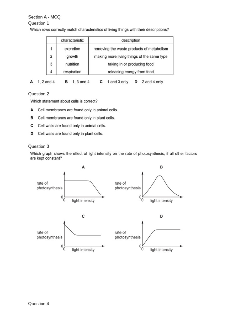 Exam Term 1 Past Paper Revision - Chpt 1 - 9 | PDF