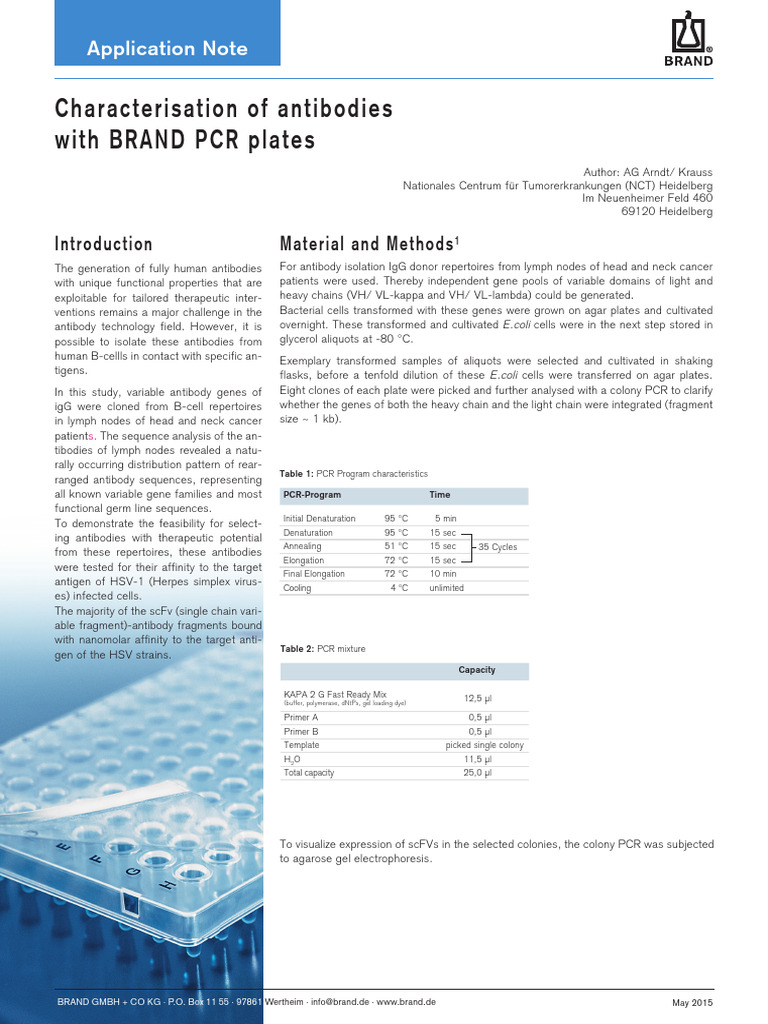 PCR_plates_EN | PDF | Antibody | Agarose Gel Electrophoresis