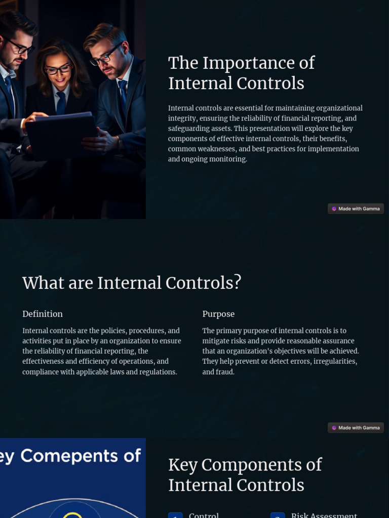 The Importance of Internal Controls | PDF | Internal Control | Business