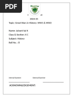 Key Insights on World War I | PDF | World War I | Allies Of World War I