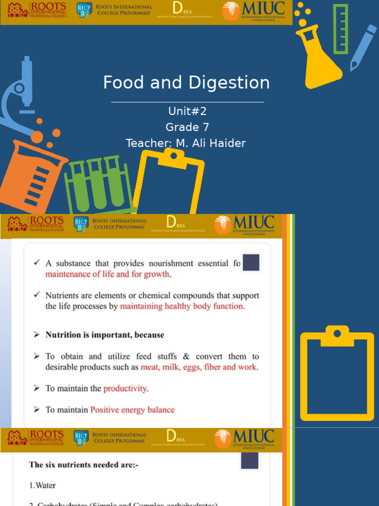 Science Grade 6 | PDF
