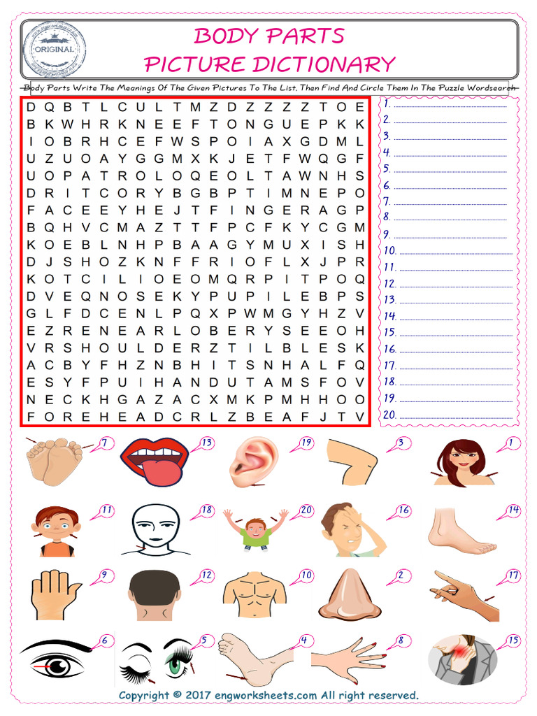 Body Parts Write The Meanings of The Given Pictures To The List, Then ...