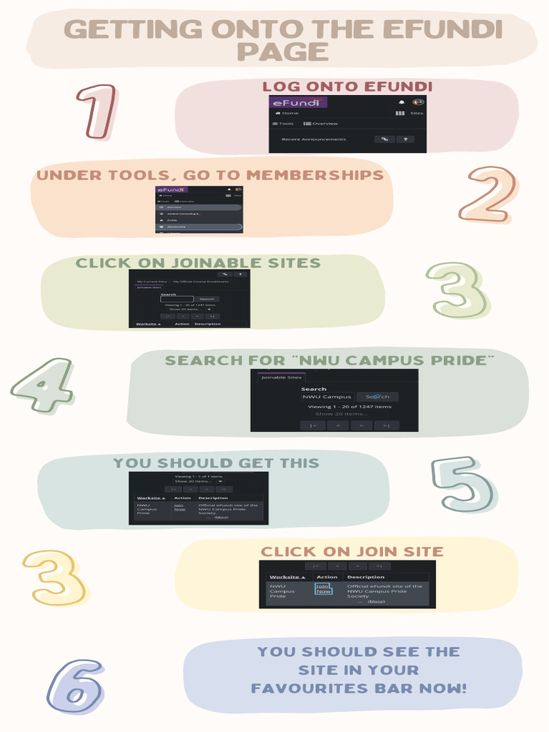 Getting Onto The Efundi Page | PDF