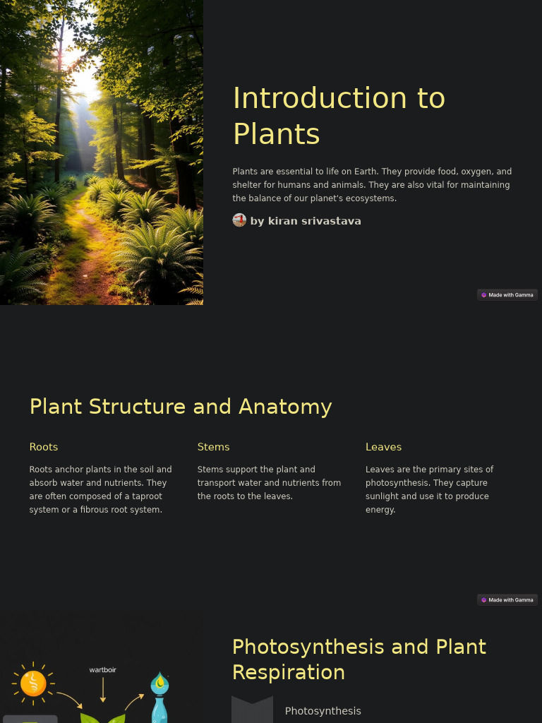 Comprehensive Guide to Plant Biology | PDF | Plants | Leaf