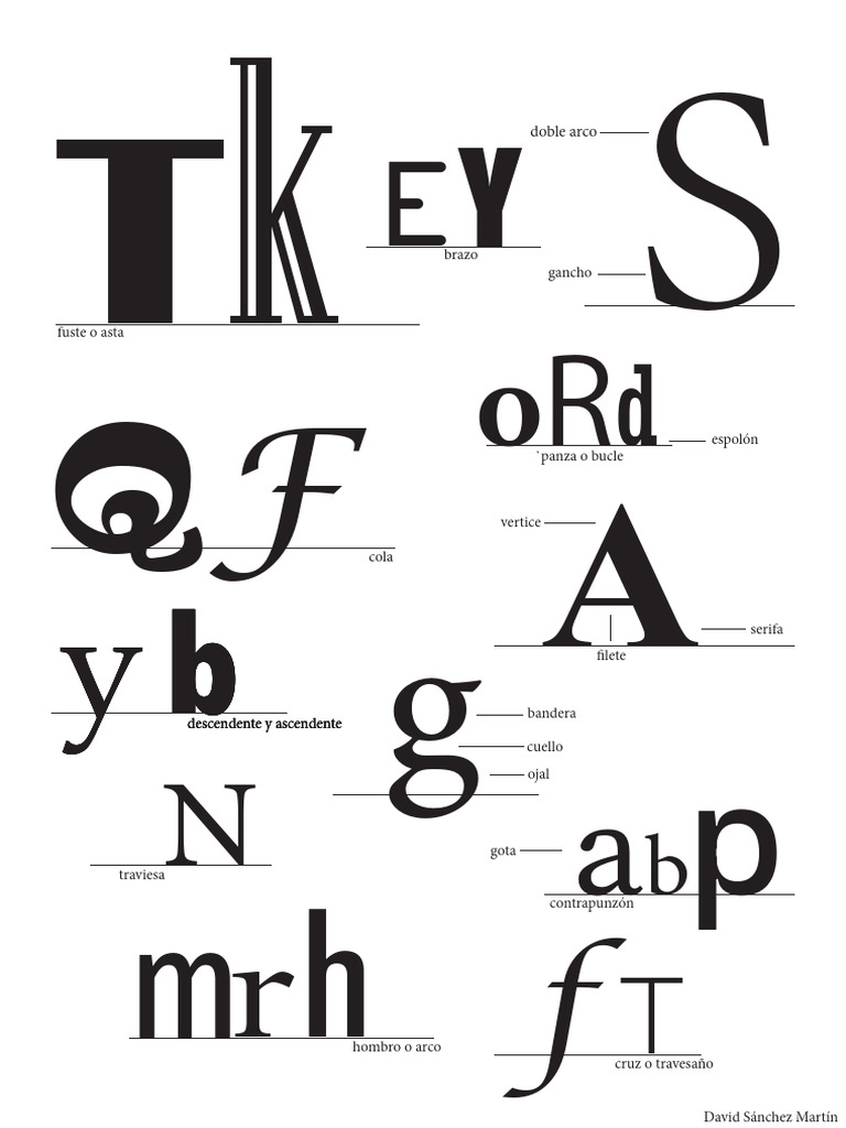 Partes Elementos y Caracter Es David | PDF