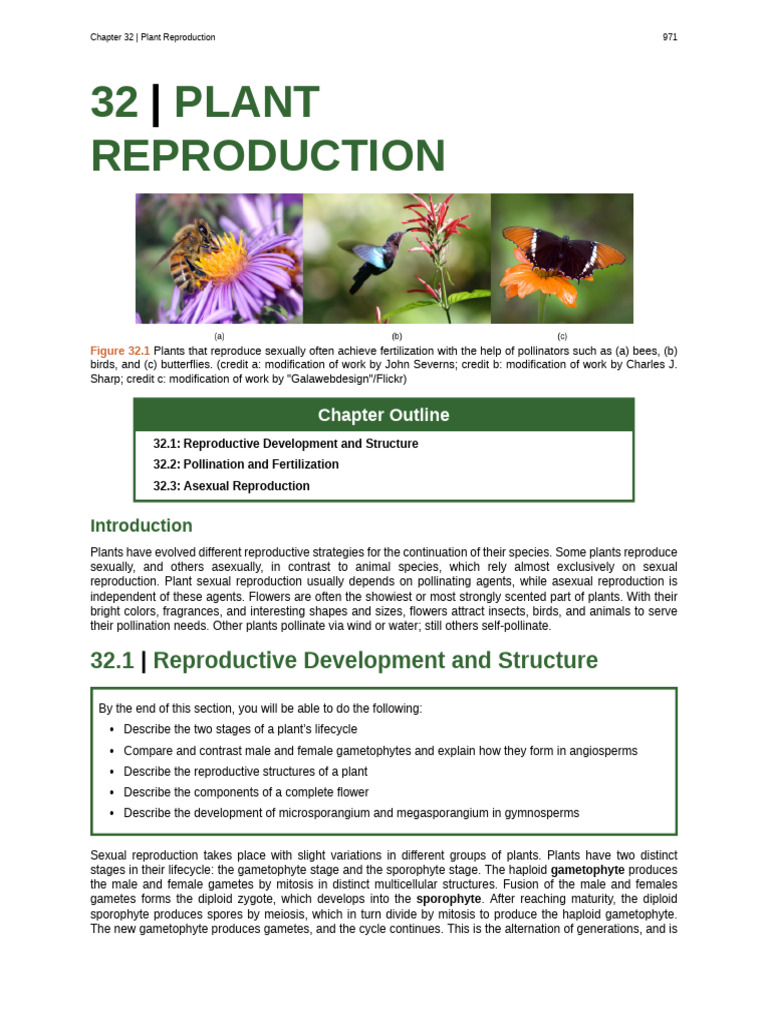 Plant Reproduction Guide | PDF | Flowers | Seed