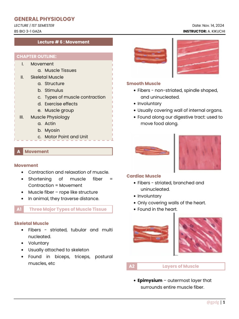 ZOO_06-Movement | PDF | Muscle Contraction | Anatomical Terms Of Motion