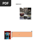 Ra 6506 (Criminologist Law) | PDF | Criminology | Crime & Violence