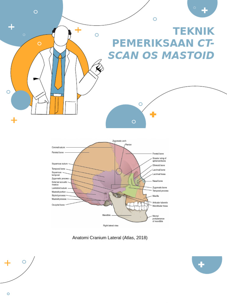 TM 11_CT SCAN MASTOID | PDF