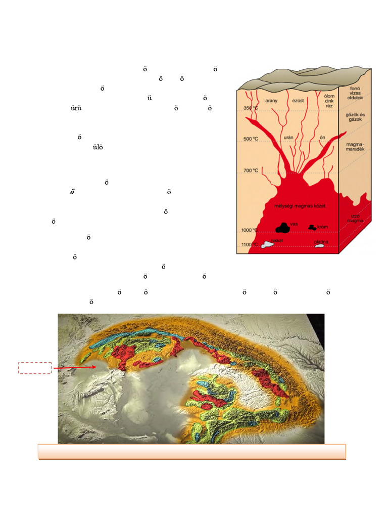 8.BIO Ercasvanyok | PDF