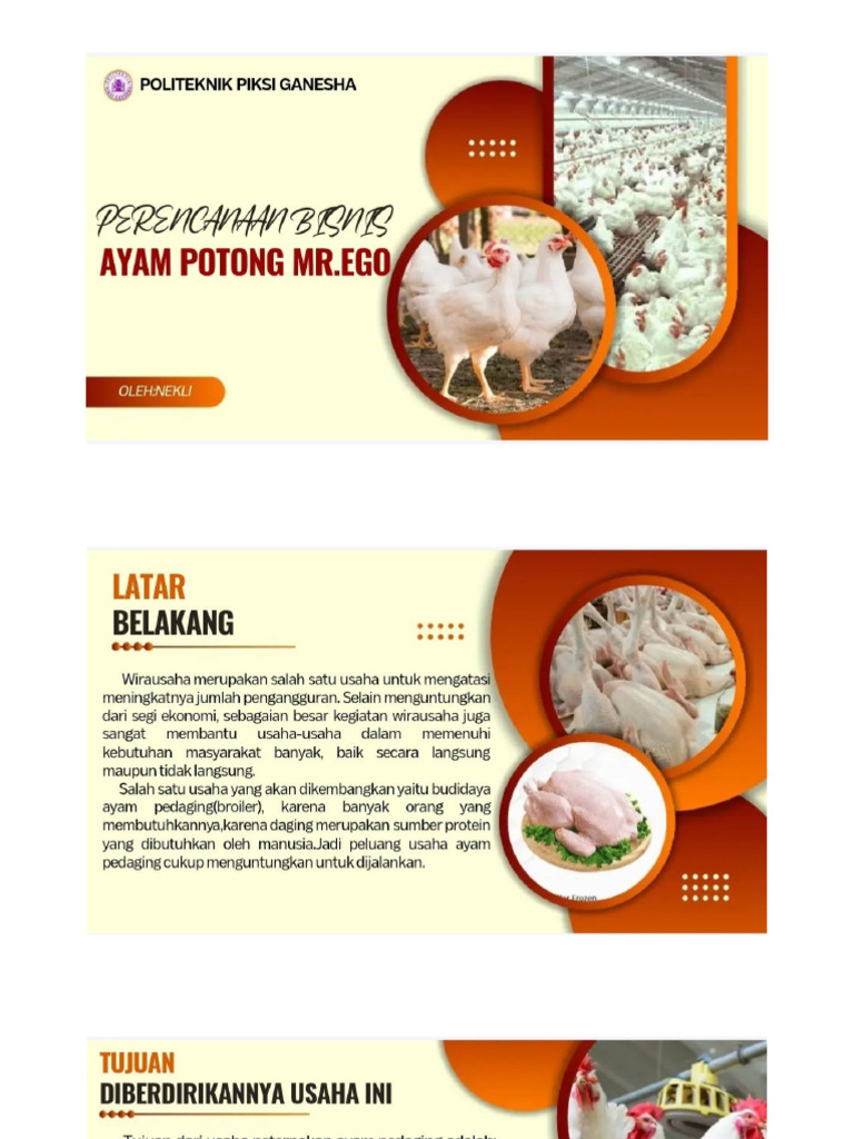Contoh Proposal Perencanaan Bisnis Ayam Potong MR Ego | PDF